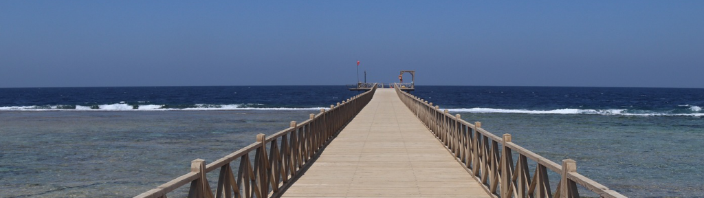 Everything You Need to Know About Radisson Rewards