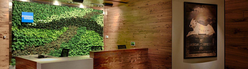 Guide to the American Express Global Lounge Collection