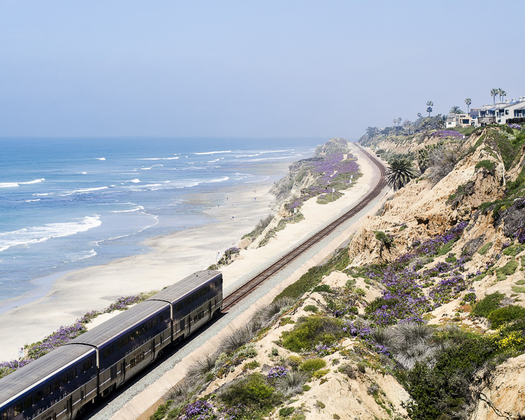 New Amtrak Promotion Offers Double Points on Spring Travel