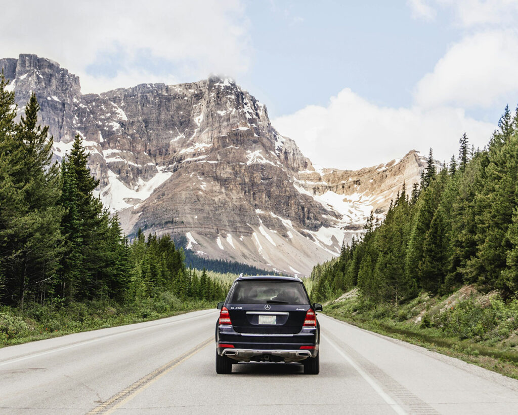 Thrifty Blue Chip Rewards Car Rental Program Guide