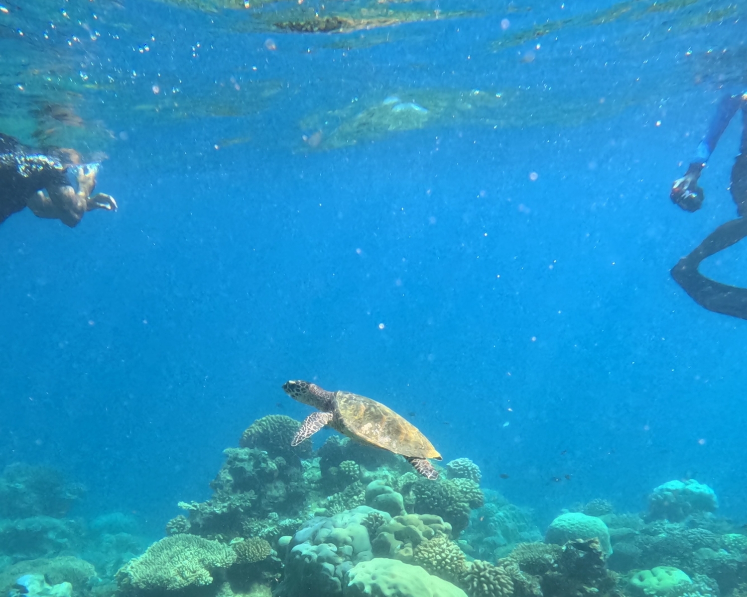Six Senses Laamu in the Maldives: What I Loved on my 2025 Stay