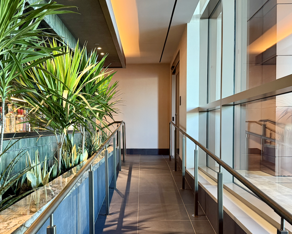 Amex Centurion Lounge Guest Policy: How to Get Free Guests